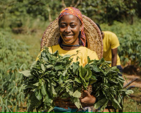 micro-producteur - CODEC KOUDOUGOU